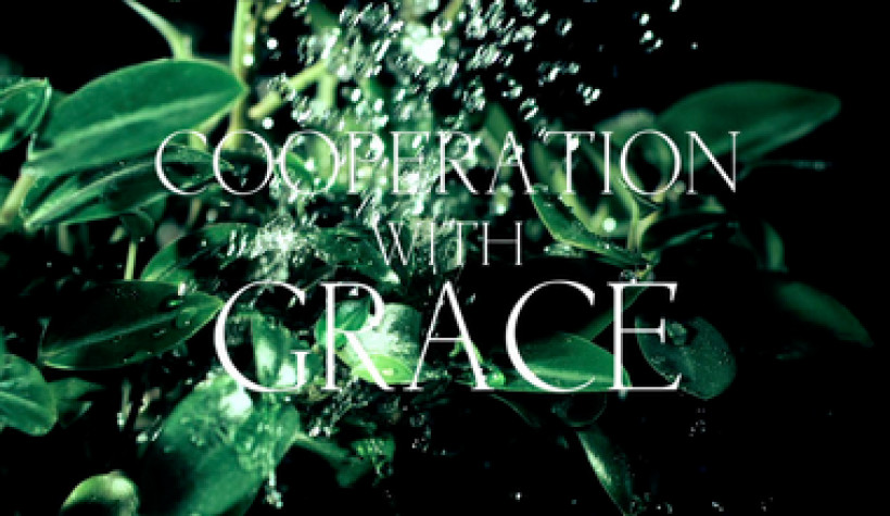 The Work of The People | Film | Cooperating With Grace