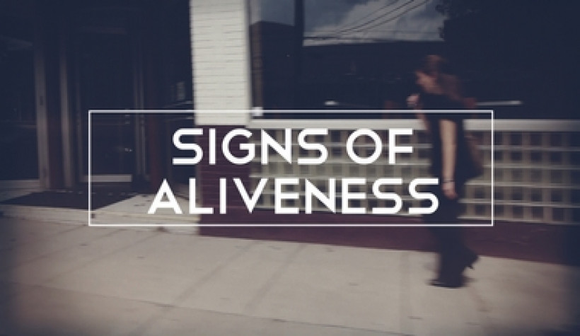 The Work of The People | Film | Signs Of Aliveness