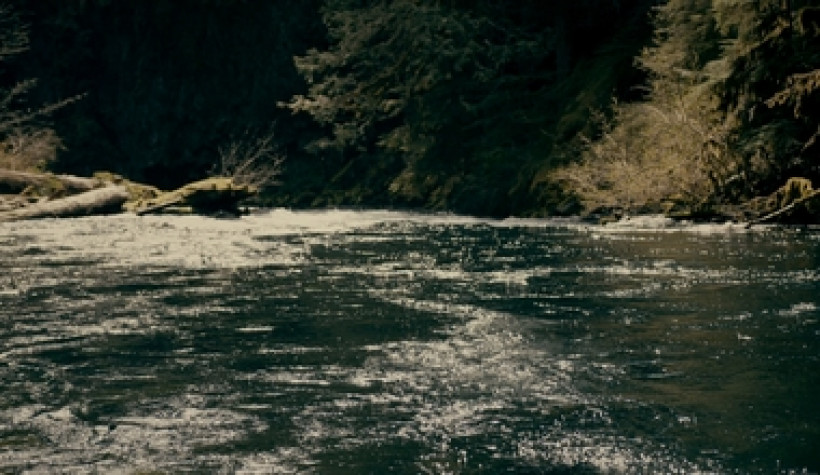 The Work of The People | Film | Stream Rapids Loop