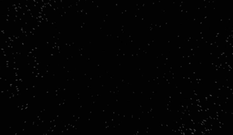 The Work of The People | Film | Flying Through Stars Effect