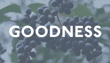 The Work Of The People - Goodness - The Work Of The People