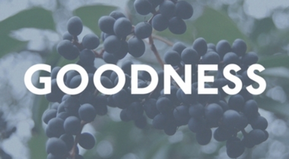 The Work Of The People - Goodness - The Work Of The People