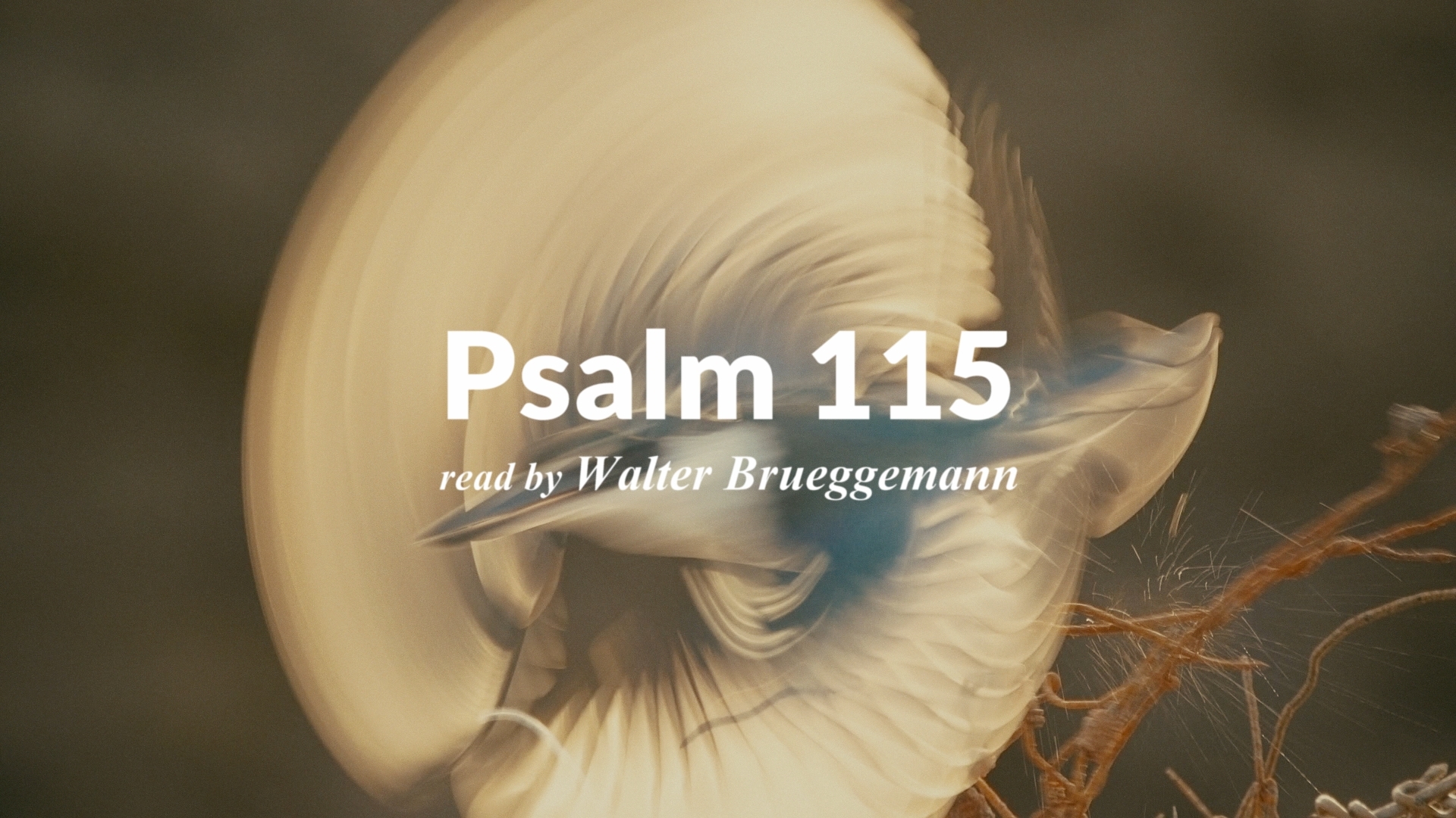 The Work Of The People - Psalm 115 - The Work Of The People